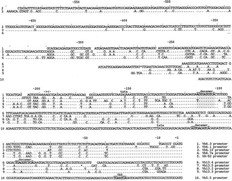 V13 Promoter Sequences Promoter Areas Were Sequenced From The Clones Download Scientific