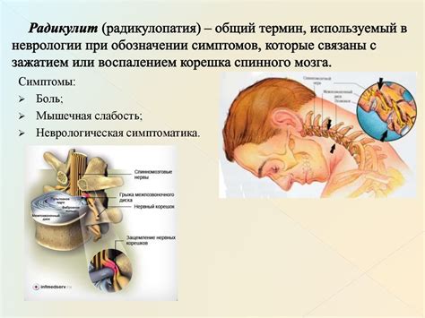 Физическая реабилитация при травмах и заболеваниях периферической