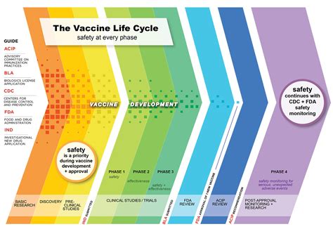 How Vaccines Are Developed And Approved For Use Vaccines