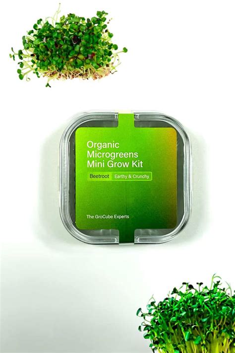 Buy Beetroot Mini Microgreen Grow Kit Plantshopme