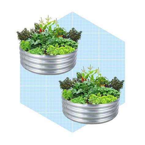 10 Best Raised Garden Beds On Amazon For Plants And Vegetables