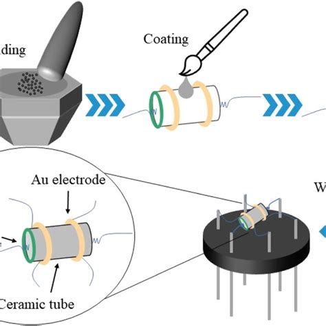 Schematic Diagram Of Gas Sensor Preparation Download Scientific Diagram
