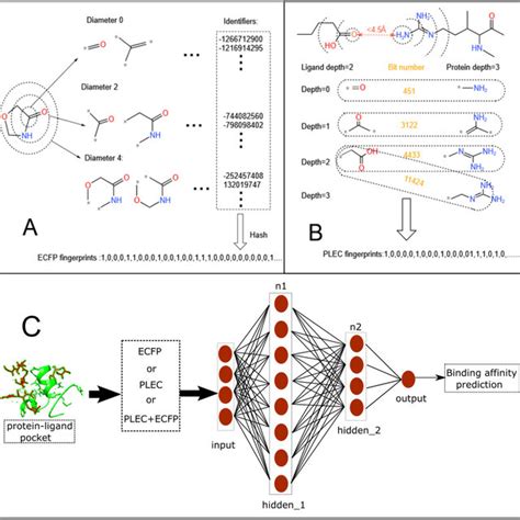 Constructions Of The Ecfp A And Plec B Fingerprints C Neural