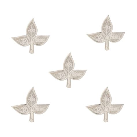 Osasbazaar Belpatri Bilva Pathram Belpatra Leaves For Shiva Puja Anushtans Shravan Maas 97 99