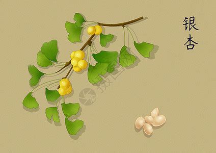 手绘中药插画图片下载 正版图片400958293 摄图网