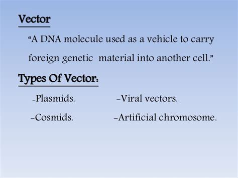 Types Of Vector At Vectorified Com Collection Of Types Of Vector Free For Personal Use