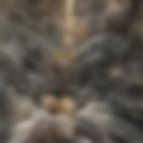 Squamous Cell Carcinoma Of The Scalp Insights And Analysis