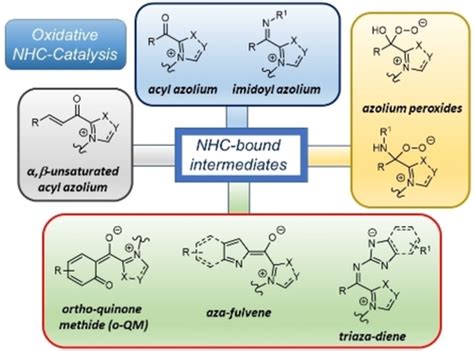 Oxidative N‐heterocyclic Carbene Catalysis De Risi 2023 Chemistry