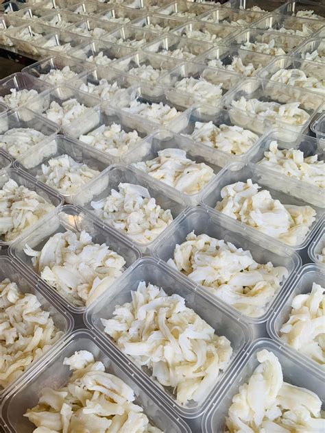 អរគុណ អតិថិជន សម្រាប់ ការ ចូលចិត្ត ផ្ទះអយស្ទ័រ បាវិត