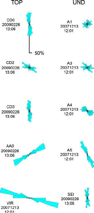 Rose Diagrams Showing The Cumulative Angular Distribu Tion Of Download Scientific Diagram