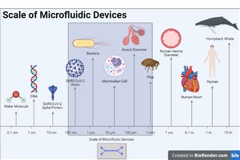 Microfluidics Doing More With Less Part 1 Uc Davis Biotechnology