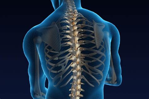 ЭМЧ Нуруу муруйлт