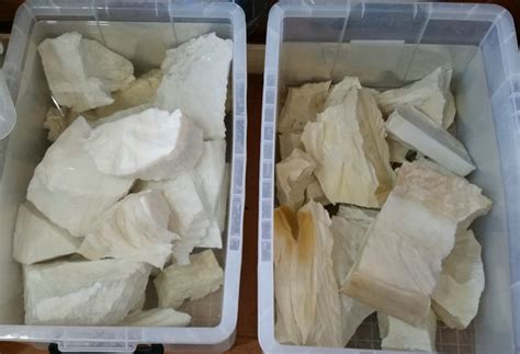 太岁肉灵芝价格 最新太岁肉灵芝图片大全 太岁肉灵芝网
