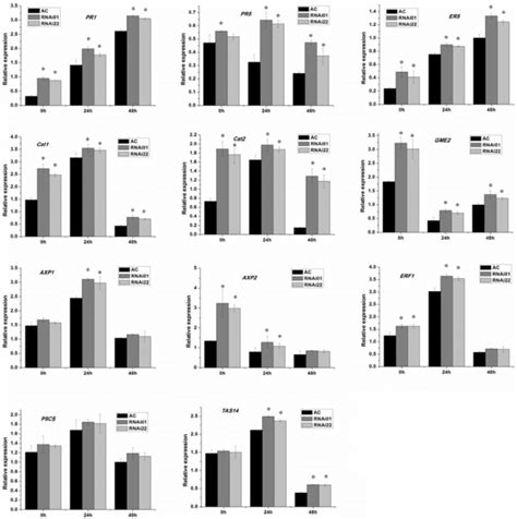 Relative Transcript Levels Of Stress Related Genes In Transgenic And Wt