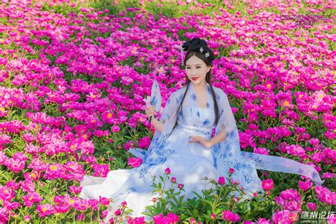 芍药鲜花美女美景 随州市人民政府门户网站