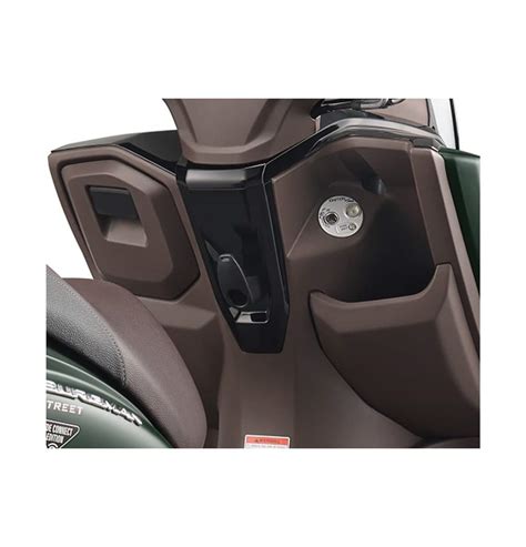 Suzuki Burgman Street Ride Connect Edition Pearl Matte Shadow Green