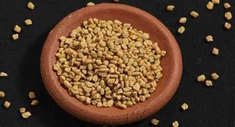 Methi Benefits यौन क्षमता हो गई है कमजोर तो मेथी दाना से करें इलाज