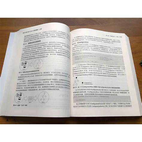 asp core 3框架揭秘 2册 蒋金楠著网络技术专业科技电子工业出版社 9787121384622正版图书 虎窝淘