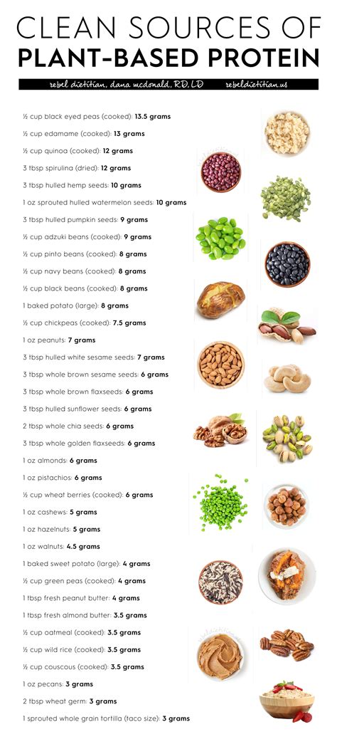 Printable Complete Protein Combinations Chart