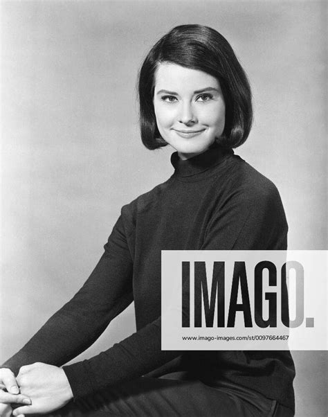 Diane Baker Young