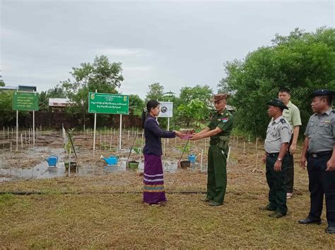 သဘာဝပတ်ဝန်းကျင်ထိန်းသိမ်းရေးနေ့ အထိမ်းအမှတ် မိုးရာသီသစ်ပင်စိုက်ပွဲ ကျင်းပ Information And