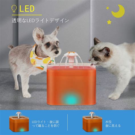 亚马逊猫咪饮水机慢慢抠图 站酷zcool