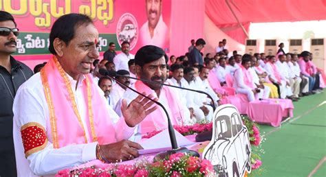 Suryapet గులాబీ తోటలా మారిన సూర్యాపేట Namasthe Telangana