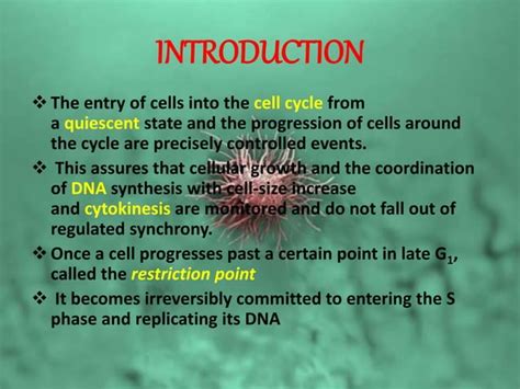 Mutation Causing Loss Of Cell Cycle Ppt