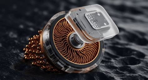 Cryptocurrency Recovery ∞ Term