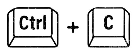 Copy Paste Shirt Matching Father And Baby Shirt Matching Shirts Ctrl C Shirt Ctrl V Shirt