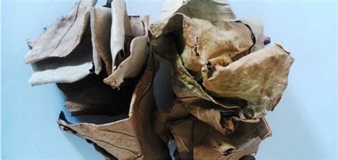 Banaba At Best Price In Bengaluru By Indfrag Ltd Id 17451574355