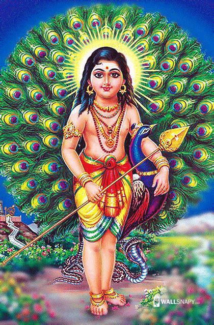 Palani Murugan Peacock Full Hd Wallpaper Primium Mobile Wallpapers