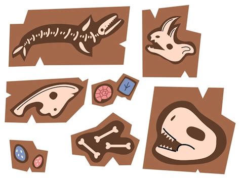 Dinosaurussen Fossielen Oude Dinosaurus Skelet Paleontologische
