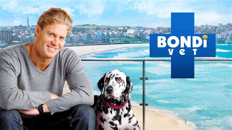 Watch Bondi Vet Online Free Streaming And Catch Up Tv In Australia 7plus