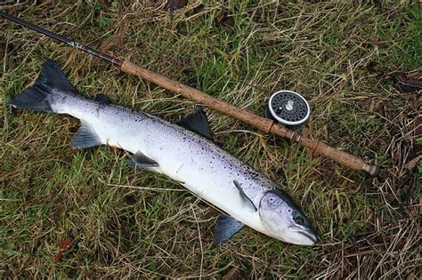 The Best Rivers For Spring Salmon Fishing In Scotland