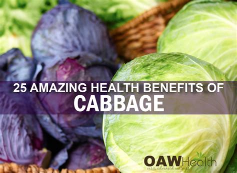 25 Amazing Health Benefits Of Cabbage Oawhealth