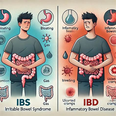 Understanding The Differences Ibs Vs Ibd Naturopath Brisbane
