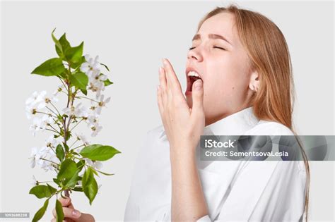 봄 꽃을 Allergetic 되 고 젊은 귀여운 여자의 고립 된 총 재채기 계속 입을 넓게 열 흰색 배경에 대해 포즈 냄새를