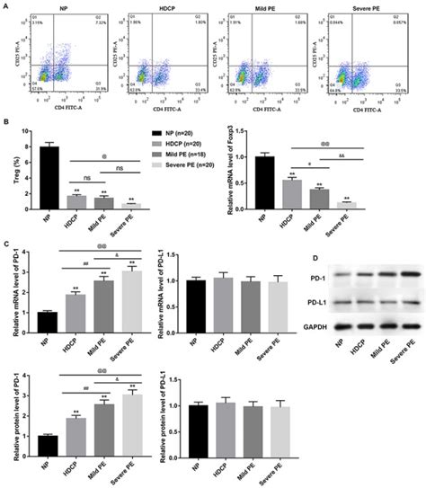Pd 1 Pd L1 Regulates Treg Differentiation In Pregnancy Induced
