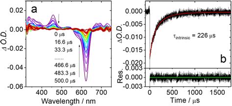 A Nanosecond Time Resolved Transient Absorption Spectra Recorded For Download Scientific