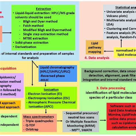 Flowchart Of Quantitative Mass Spectrometric Analysis Of Lipid