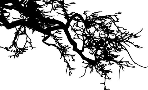 Tree Branch Silhouettes PNG Transparent OnlyGFX Com