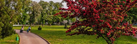 Община Севлиево