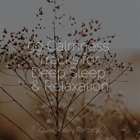 50 Calmness Tracks For Deep Sleep And Relaxation Relaxing Sleep Sound