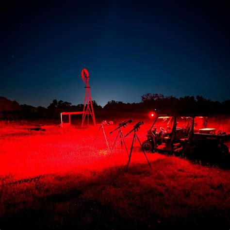 Red Hog Hunting Lights Shelly Lighting