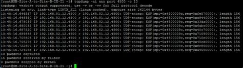 Useful Commands For Troubleshooting VMware HCX