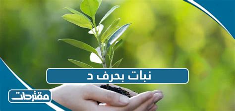 اسم نبات بحرف د موقع مقترحات