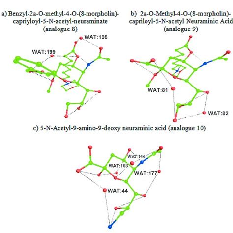 Molecular Dynamics Trajectory And The Distribution Plots Of Sialic Acid