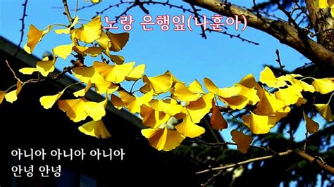 노란 은행잎 나훈아 가사자막 YouTube
