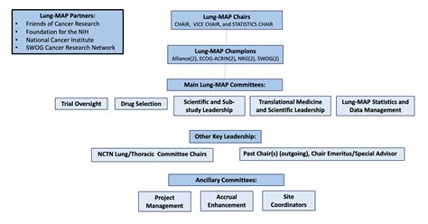 Leadership Lung Cancer Master Protocol Lung Map Clinical Trials